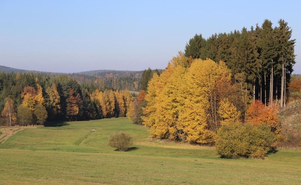 Agrární komoře vadí změny v evropském zemědělství. „Cílí se na lokální ...