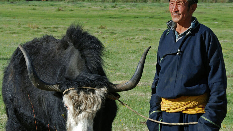 Za nomády do mongolské stepi