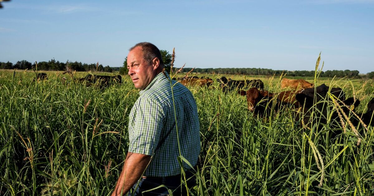 Americký agronom Dale Strickler: Díky regenerativnímu zemědělství lze ...